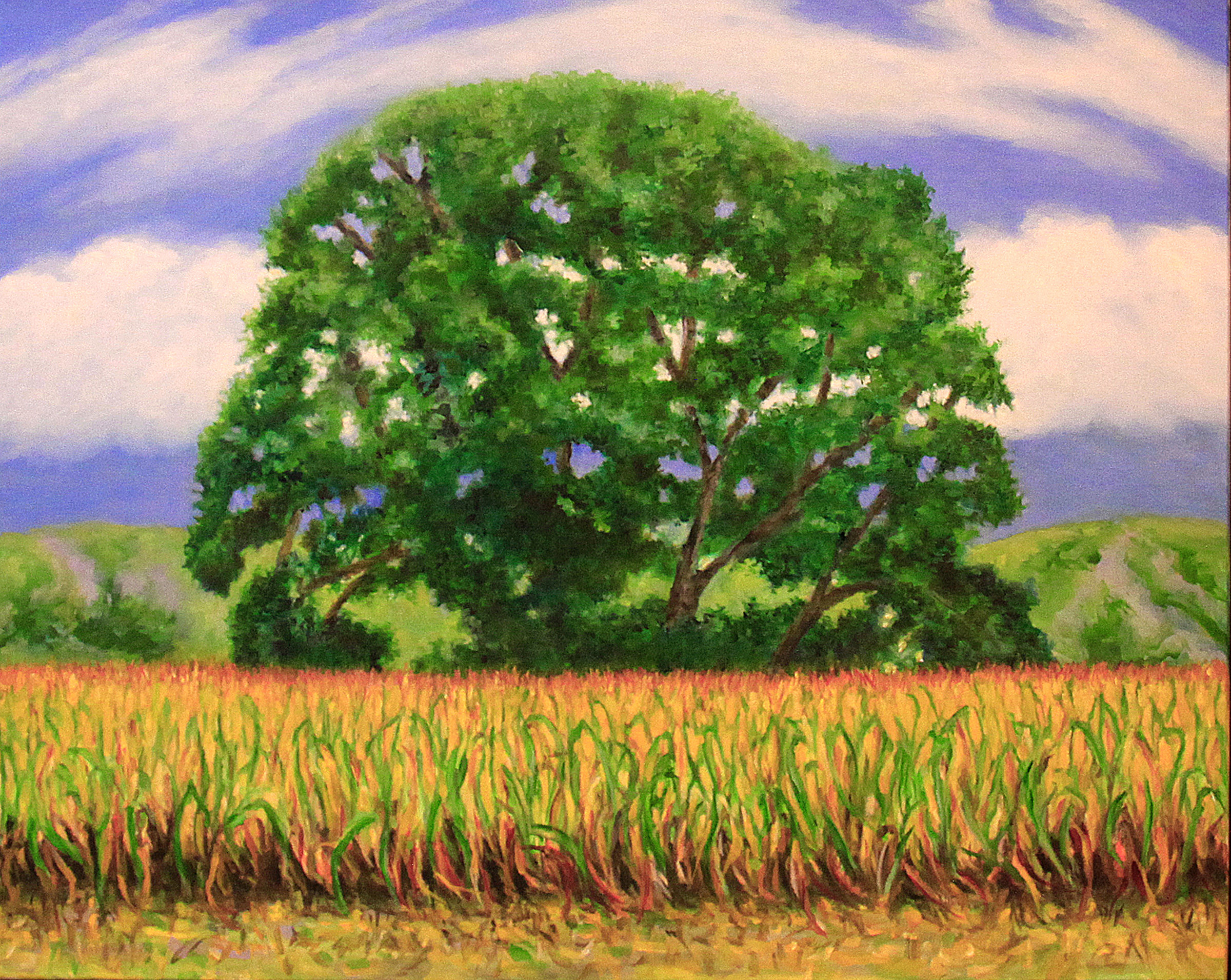 The Great Meadows by Judy Hawkins (Oil Painting) | Artful Home