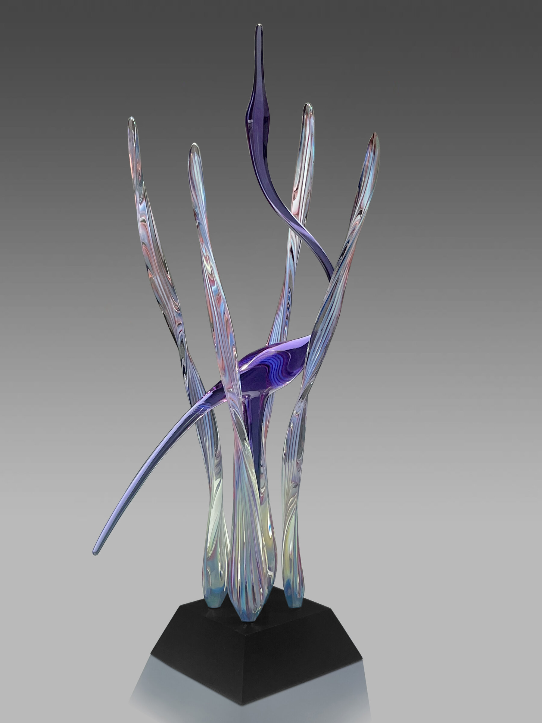 Serene Dance in the Marsh, Blue Violet Blaze by Warner Whitfield and ...