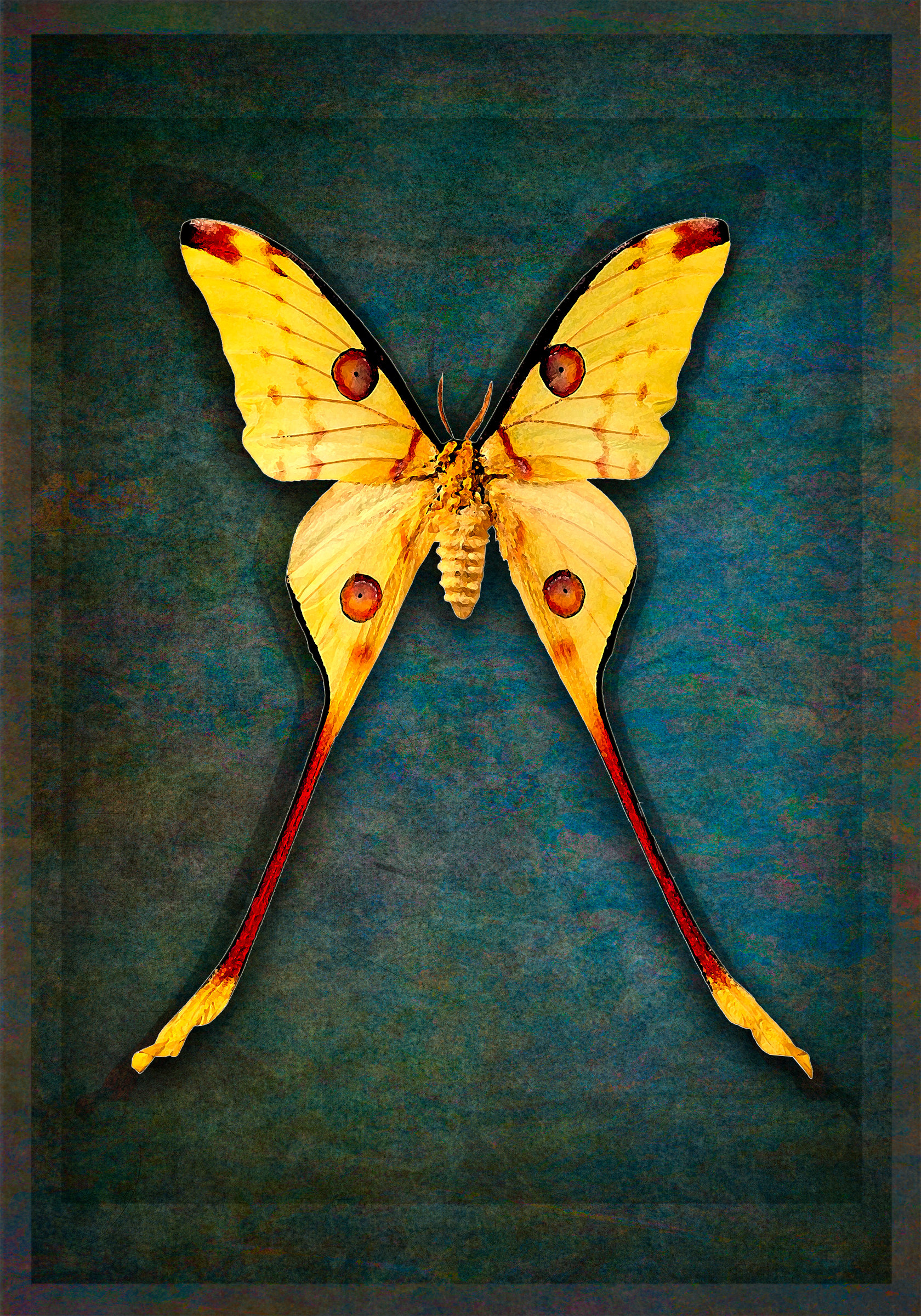 Comet Moth by Michael Protiva (Giclee Print) | Artful Home