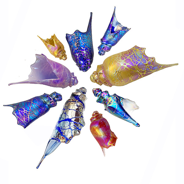 Shells By Romeo Glass Art Glass Sculpture Artful Home
