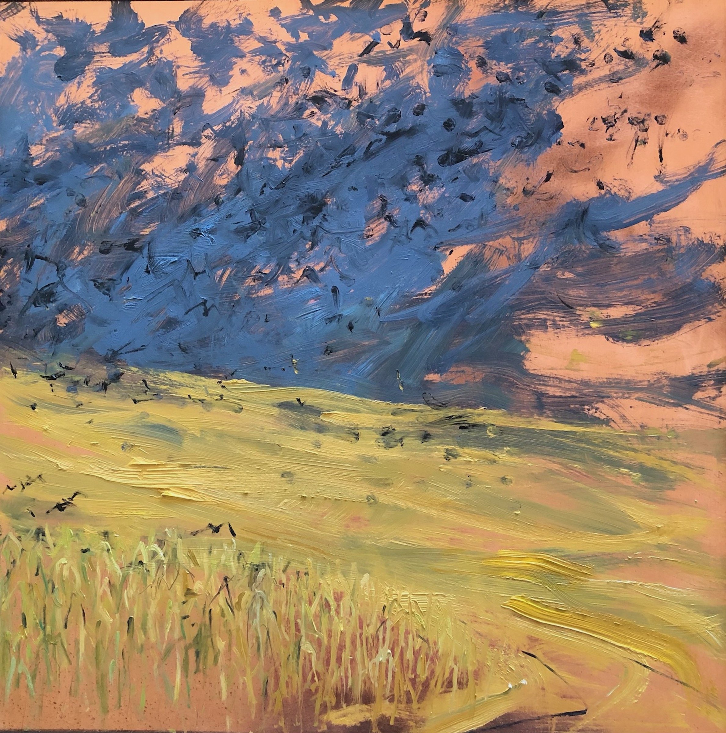 A Murder of Crows Ascending a Cornfield by Catherine Picard-Gibbs (Oil ...