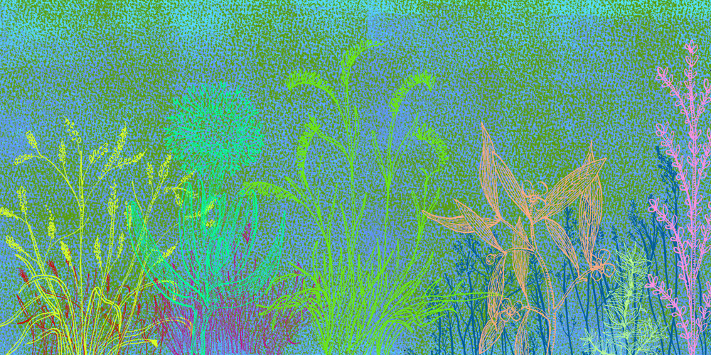 Abstract Plant Forms 8 by Hal Mayforth (Giclee Print) | Artful Home